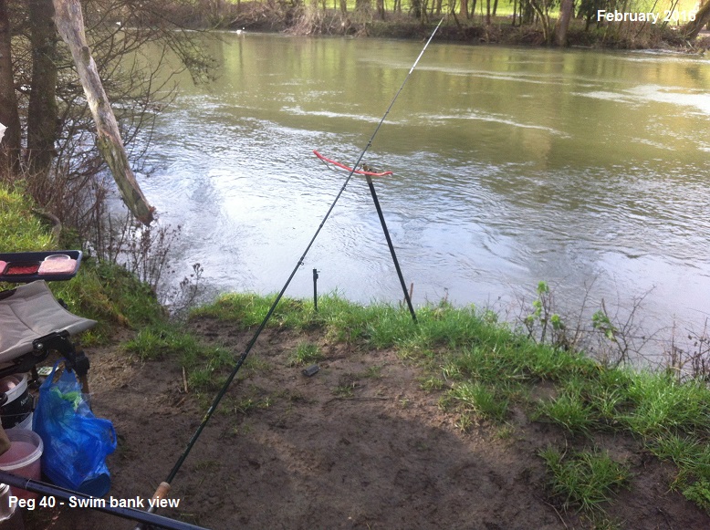 Fish the river Thames at Goring and Streatley